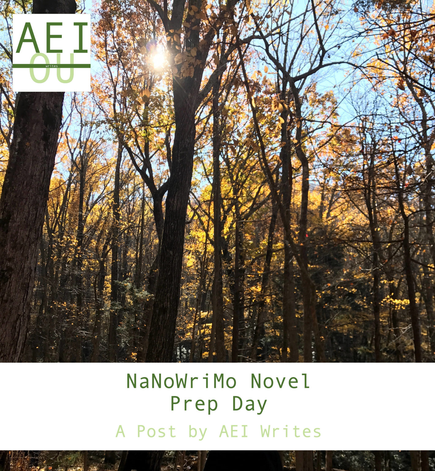 NaNoWriMo Novel Prep Day - AEIwrites